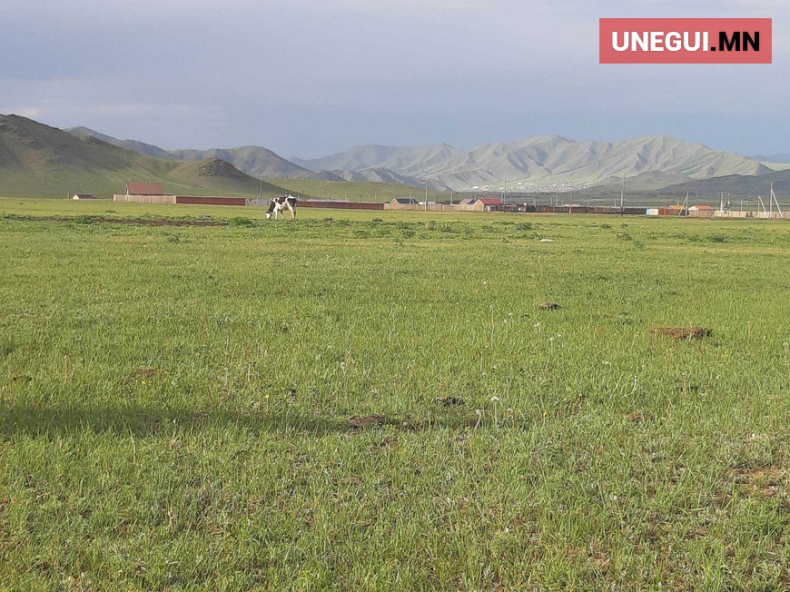 Hoshigtiin hondiid 3 ailiin gazar 15 сая ₮ №7280482 УБ — Хан-Уул -д ...