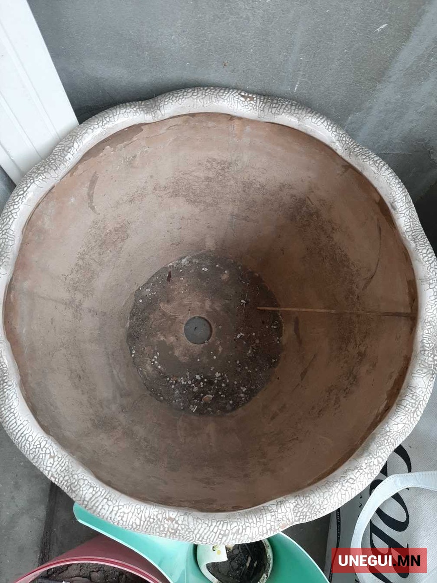 Цэцгийн ваар болон хэрэгслүүд 75 000 ₮ №7498450 УБ — Сүхбаатар д Ургамал мод цэцэг Unegui