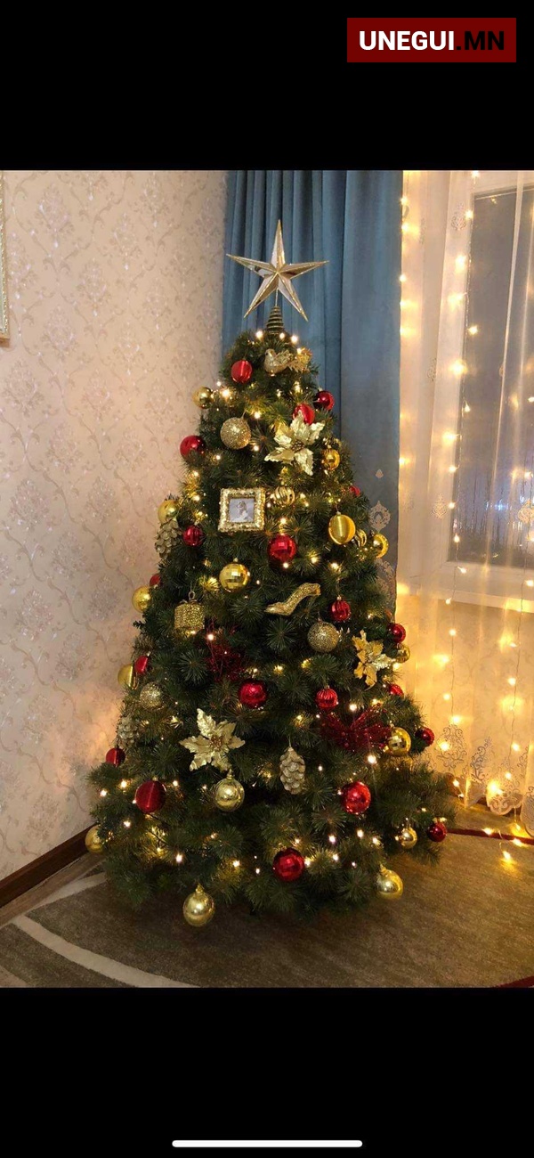 Гацуур мод 250 000 ₮ №7923751 УБ — Баянгол д Баярын худалдаа үйлчилгээ Unegui Mn